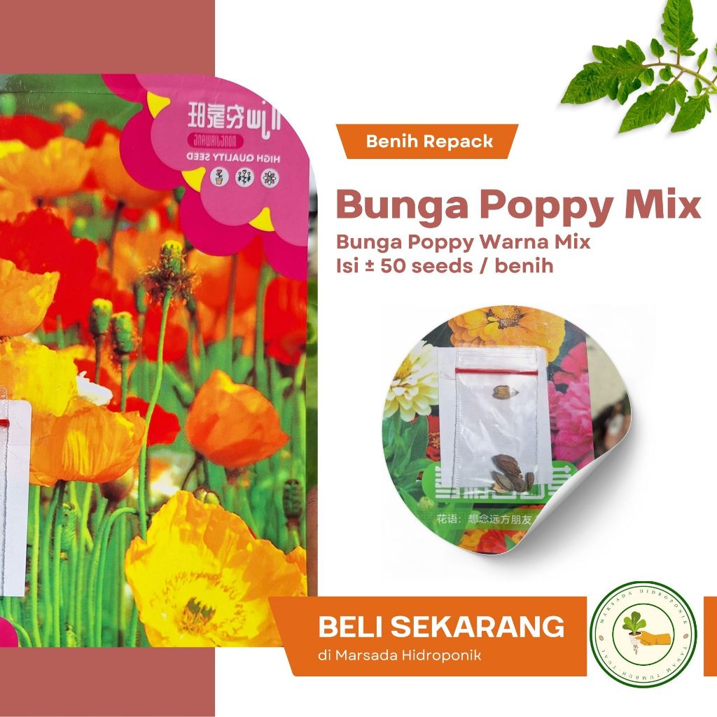 Jual Benih Bibit Biji Bunga POPPY California Kemasan Repack | Shopee ...