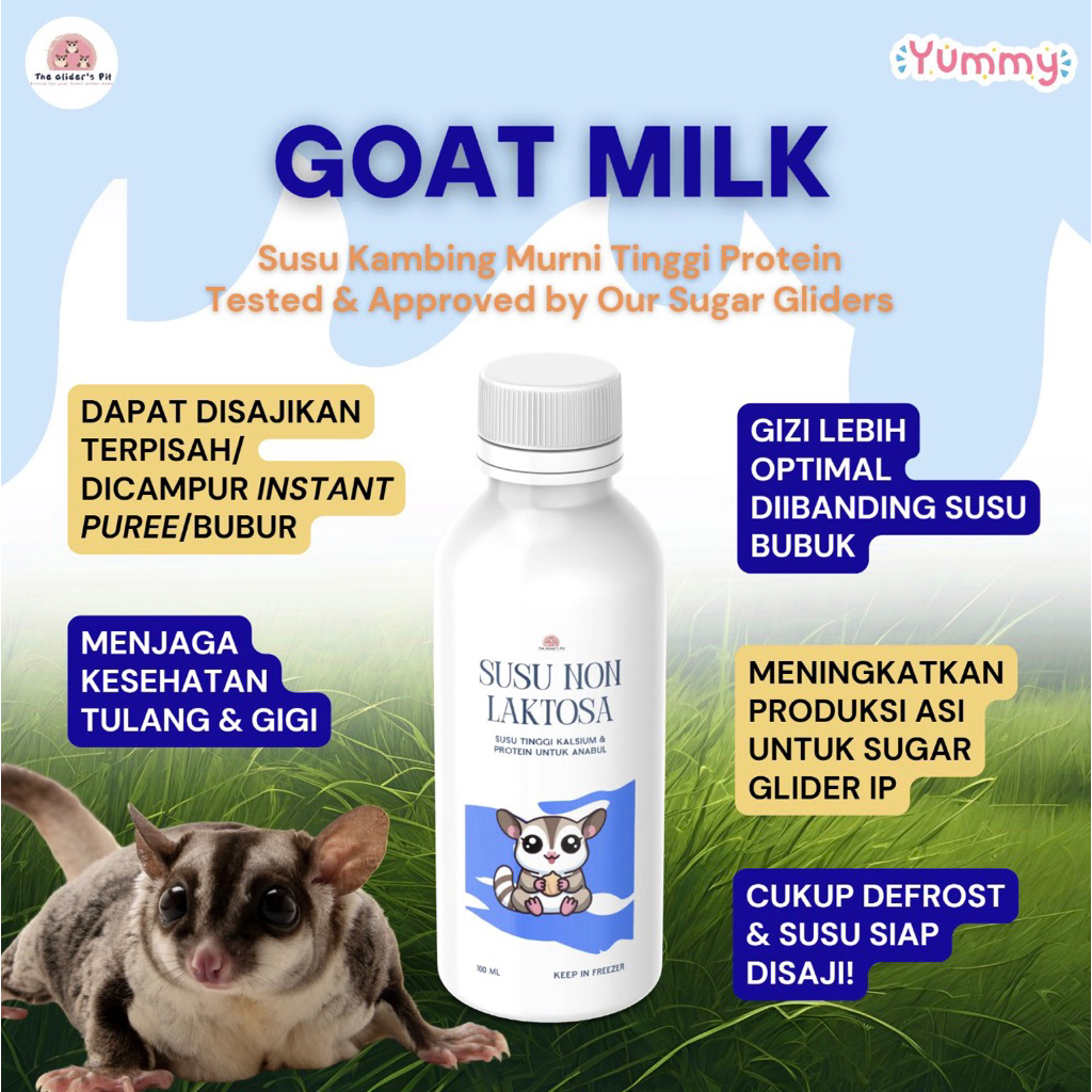 Jual Pasteurized Goat Milk in A Bottle | Susu Pasteurisasi Aman Untuk ...