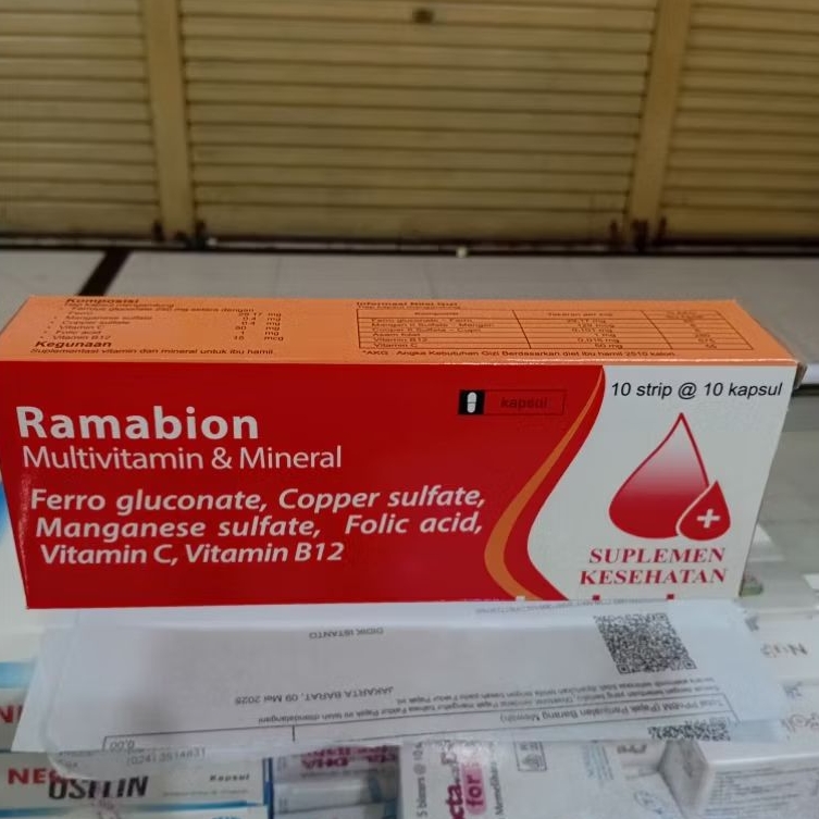 Jual Ramabion multivitamin dan mineral box | Shopee Indonesia