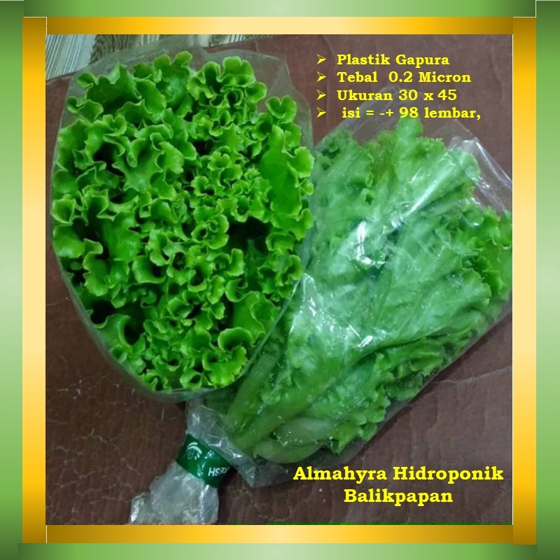 Jual Plastik Packing Selada Gapura, Sayuran Hydroponik Loundry Merk ...