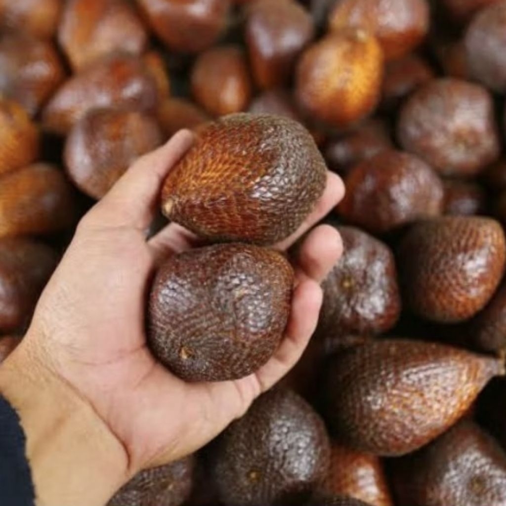 Jual Buah Salak Kalimantan | Shopee Indonesia