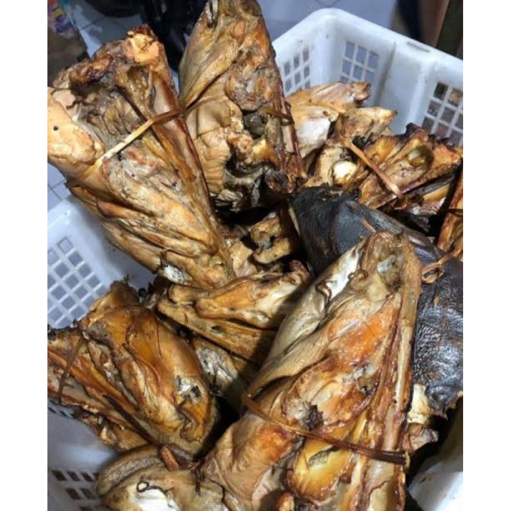 Jual Kepala Manyung 1/2 Kepala Asli Juwana | Shopee Indonesia