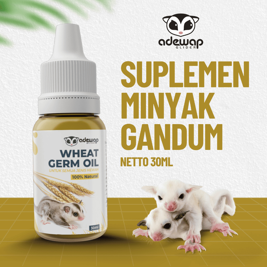 Jual ADEWAP GLIDER Minyak Gandum Wheat Germ Oil Vitamin Sugar Glider ...