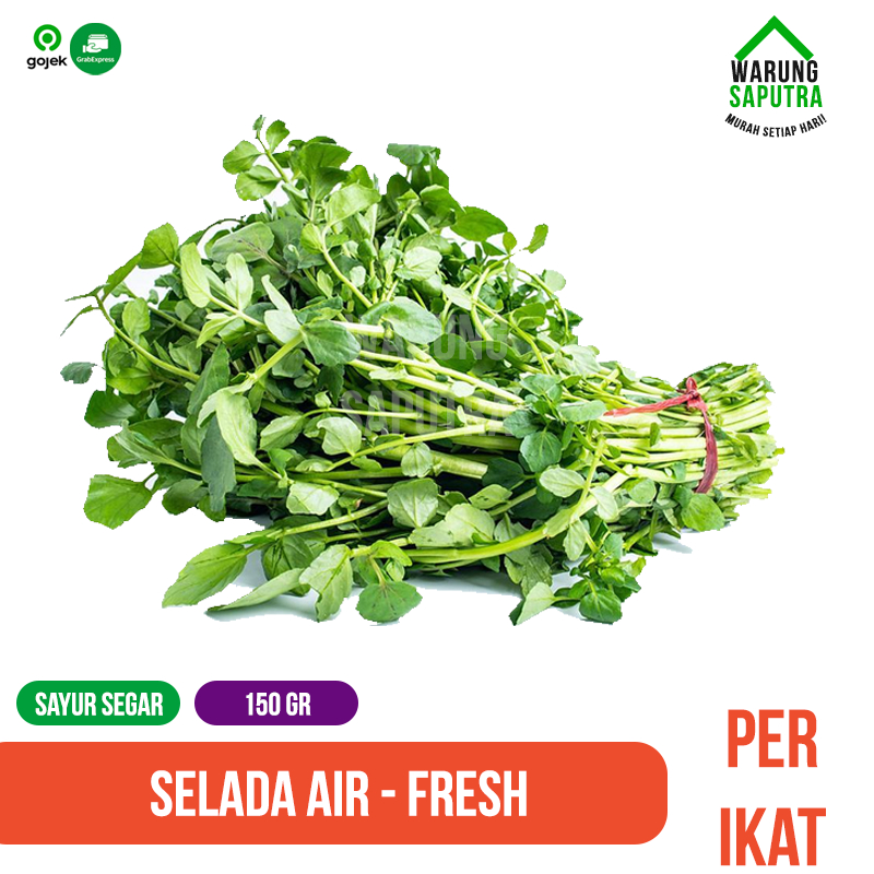 Jual Jukut Goreng / Selada Air Segar per Ikat | Shopee Indonesia
