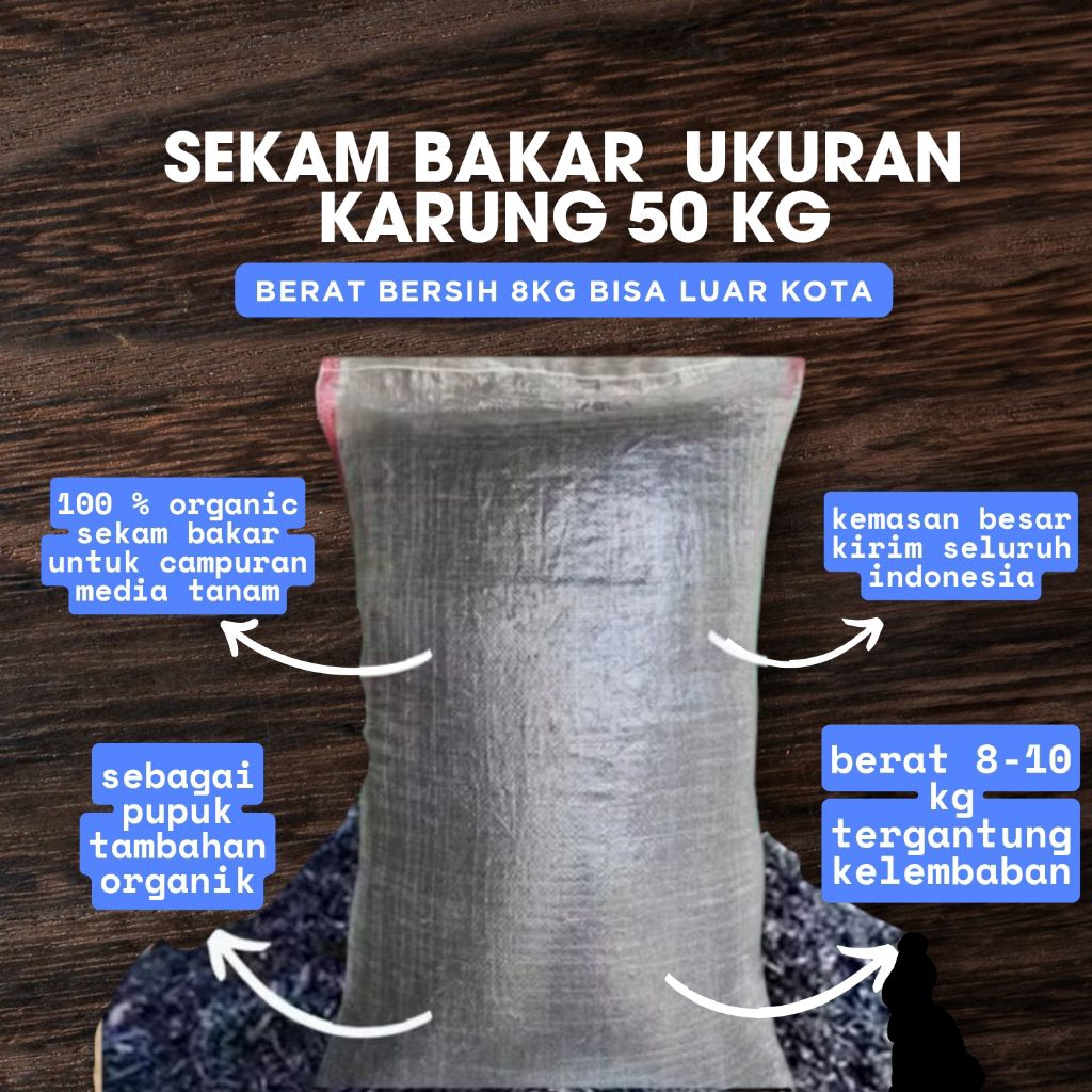 Jual SEKAM BAKAR 1 KARUNG BESAR UK 50KG ASLI BAKAR BUKAN OVEN BISA ...