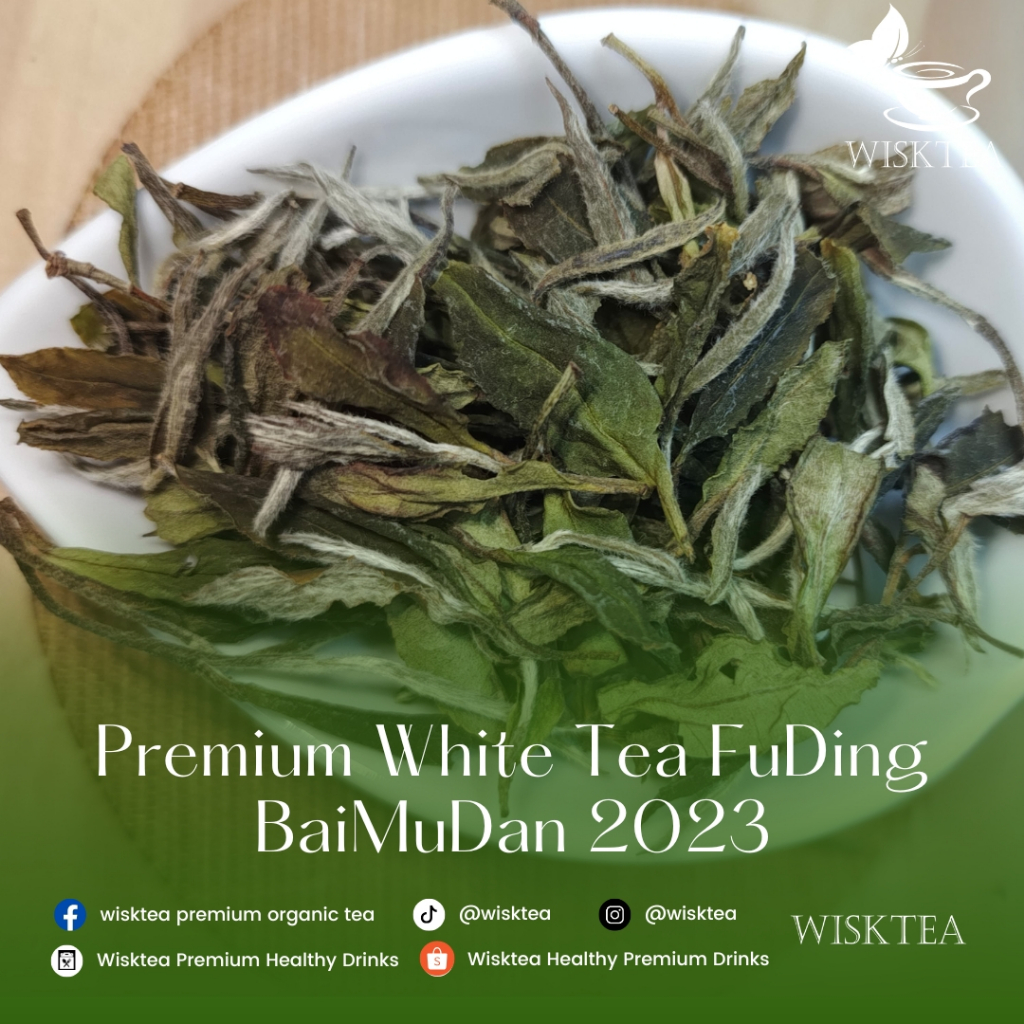 Jual WiskTea – FuDing BaiMuDan White Tea | White Peony | 50gr | Teh Putih Premium 2023 | Shopee ...
