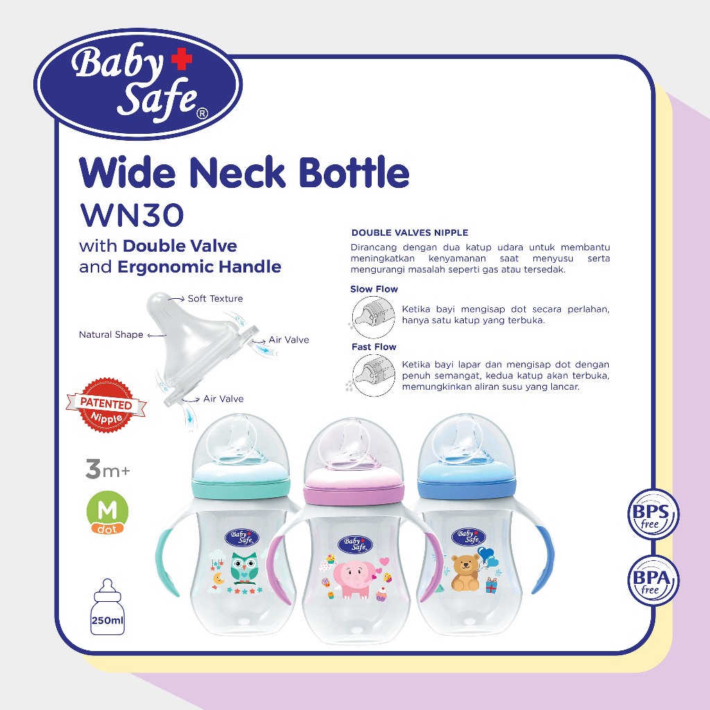 Jual BabySafe - WN30 - Botol Susu Wide Neck 3 Tahap dengan Handle 250 ...