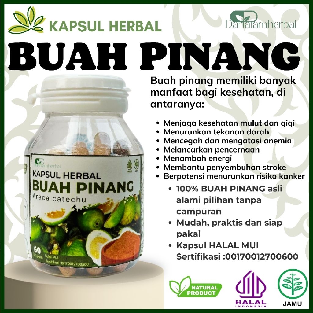Jual Herbal Kapsul BUAH PINANG Asli 100% Alami | Kemasan Botol isi 60 ...