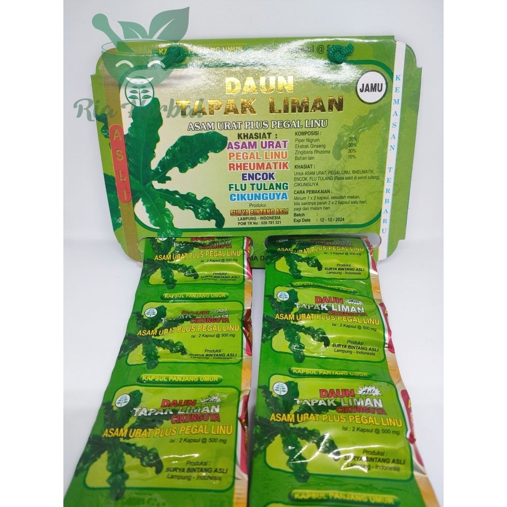Jual DAUN TAPAK LIMAN KAPSUL ORIGINAL | Shopee Indonesia