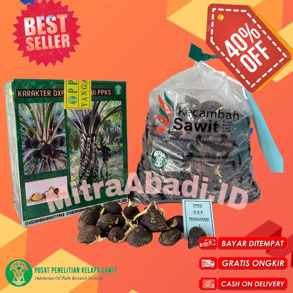 Jual BENIH SAWIT PPKS YANGAMBI UNGGUL ASLI MEDAN ISI 250 dan 150 butir ...