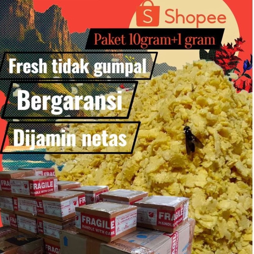 Jual TELUR BSF// MAGOT BSF PER 10 GRAM (HARGA PROMO) | Shopee Indonesia