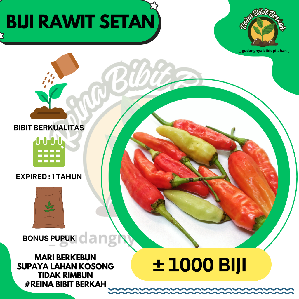 Jual *BONUS PUPUK* 1000 BIJI BIBIT CABE RAWIT SETAN SIAP TANAM | Shopee Indonesia