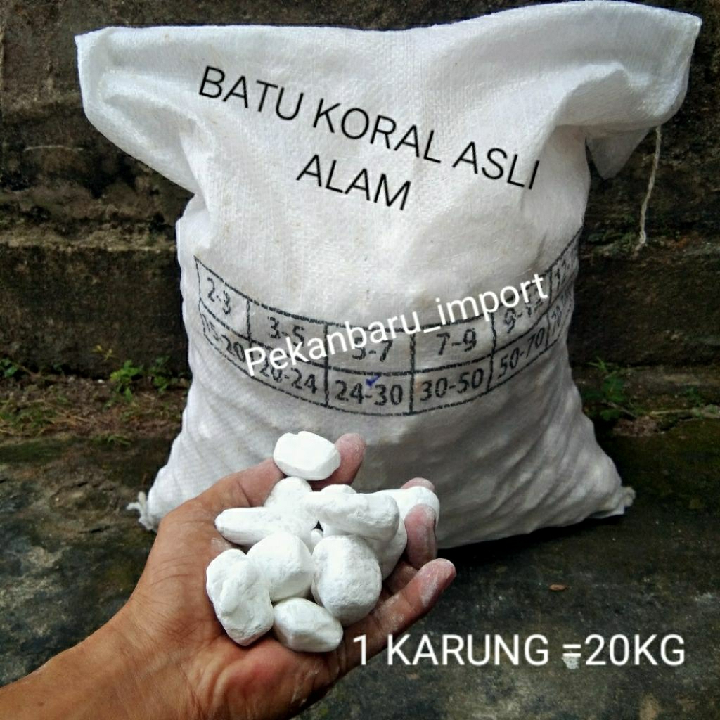 Jual (P3KANBARU_IMPORT)Batu tabur/Batu alam/ Batu Koral sikat/ Batu ...