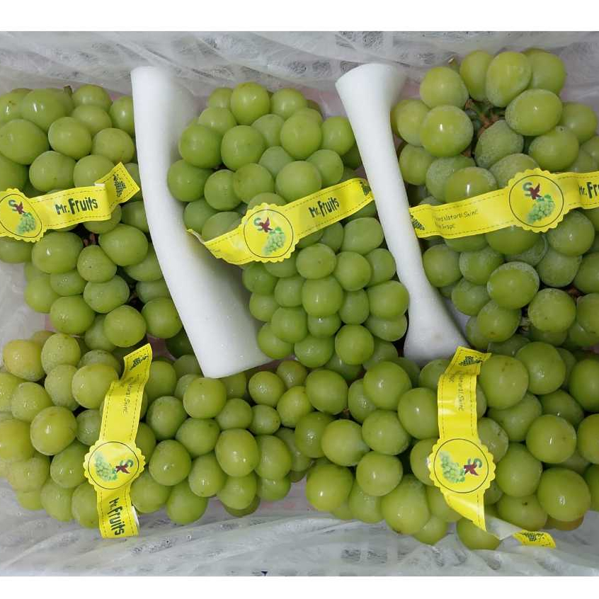 Jual Anggur Shine Muscat Fresh Pack PROMOOO 400gr | Shopee Indonesia