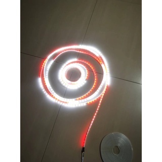 Jual Lampu LED Strip Selang paket merah putih 3528 2835 220V + Adaptor ...