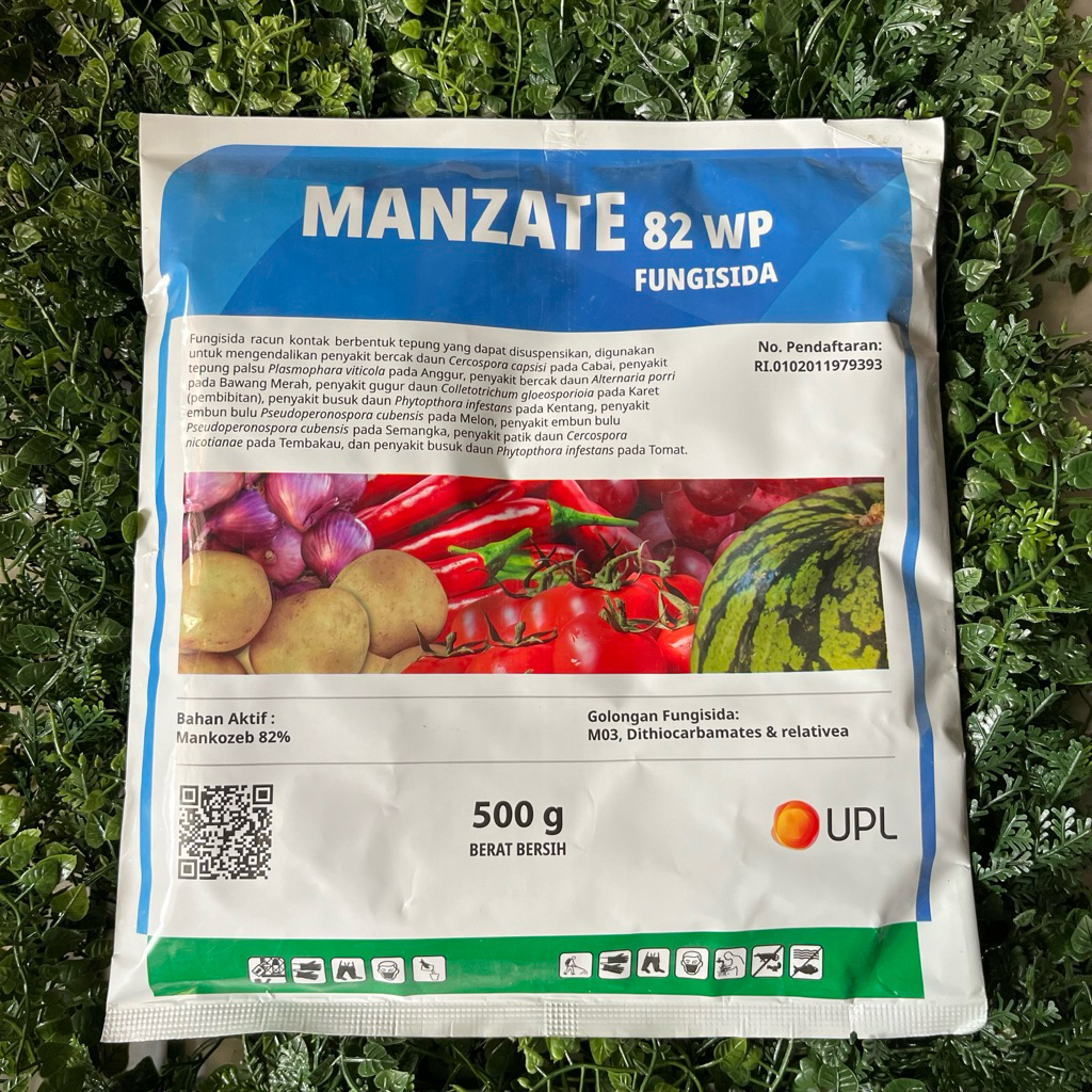 Jual Manzate 82WP 500g - Fungisida | Shopee Indonesia