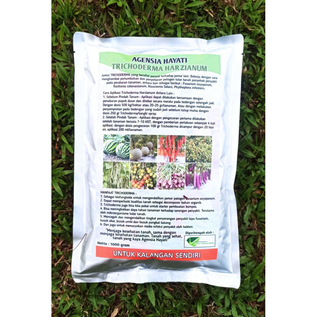 Jual Trichoderma harzianum Media Padat | Trichoderma sp | 1 Kg ...