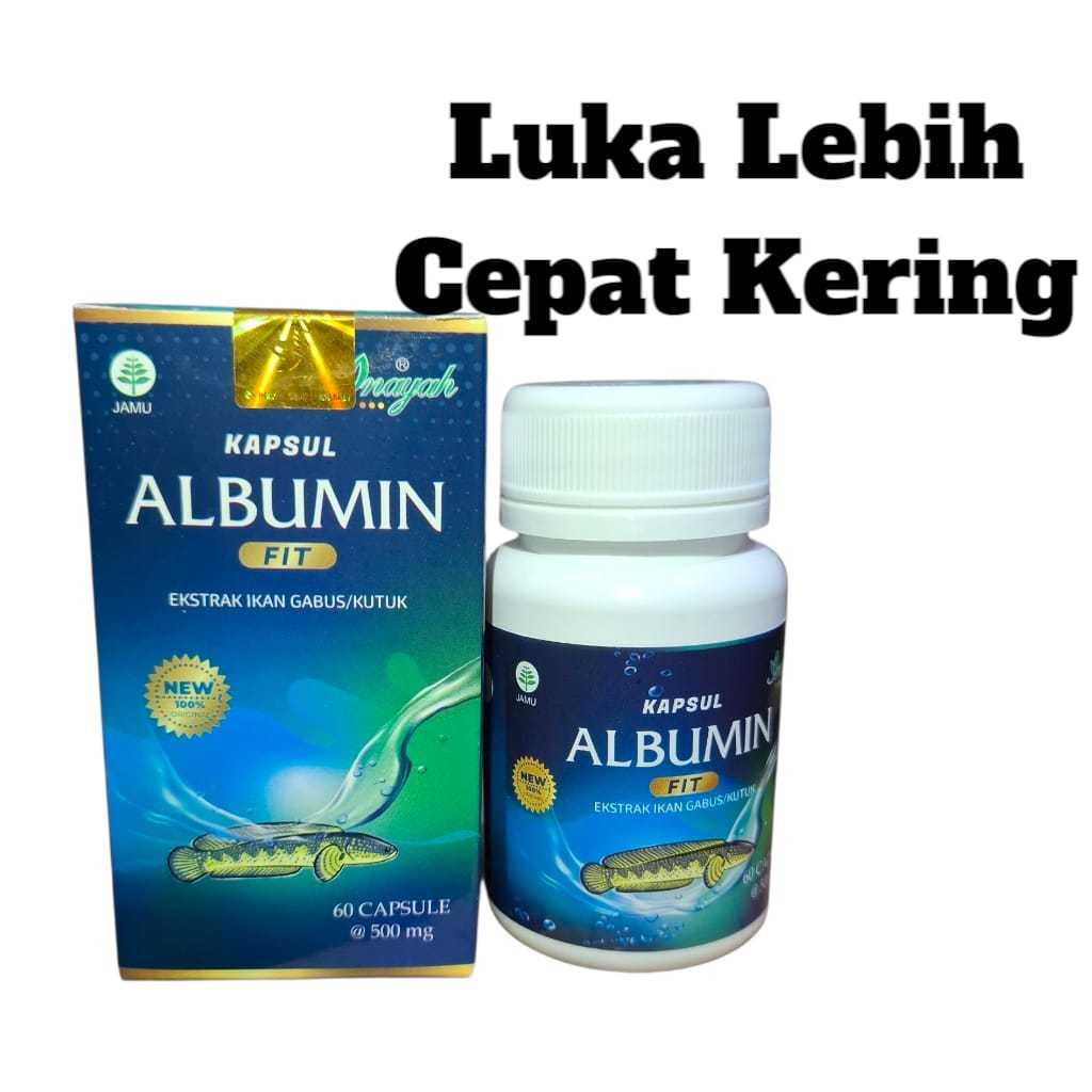 Jual Albumin Fit Original Penyembuhan Luka Luar & Dalam Pasca Operasi ...