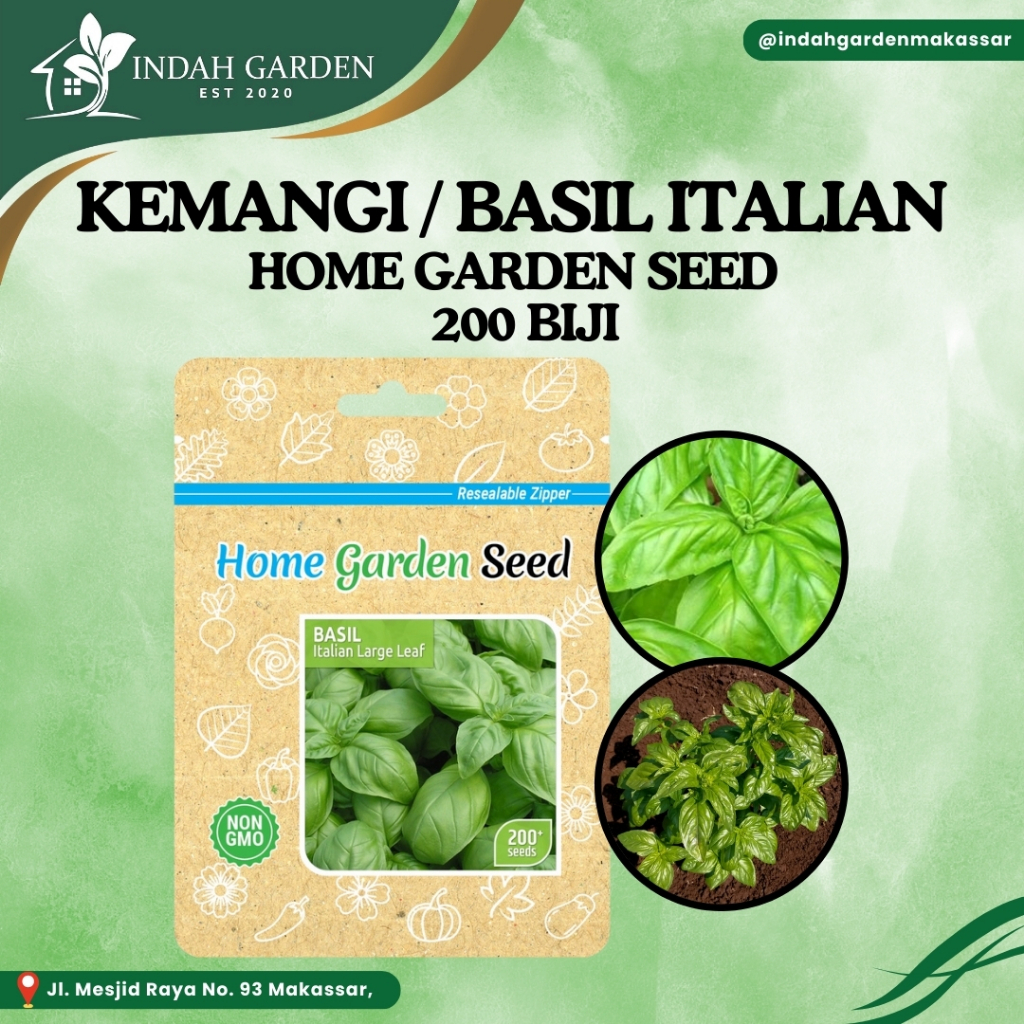 Jual Kemangi - Benih Basil Italian Large Leaf - Home Garden Seed ...