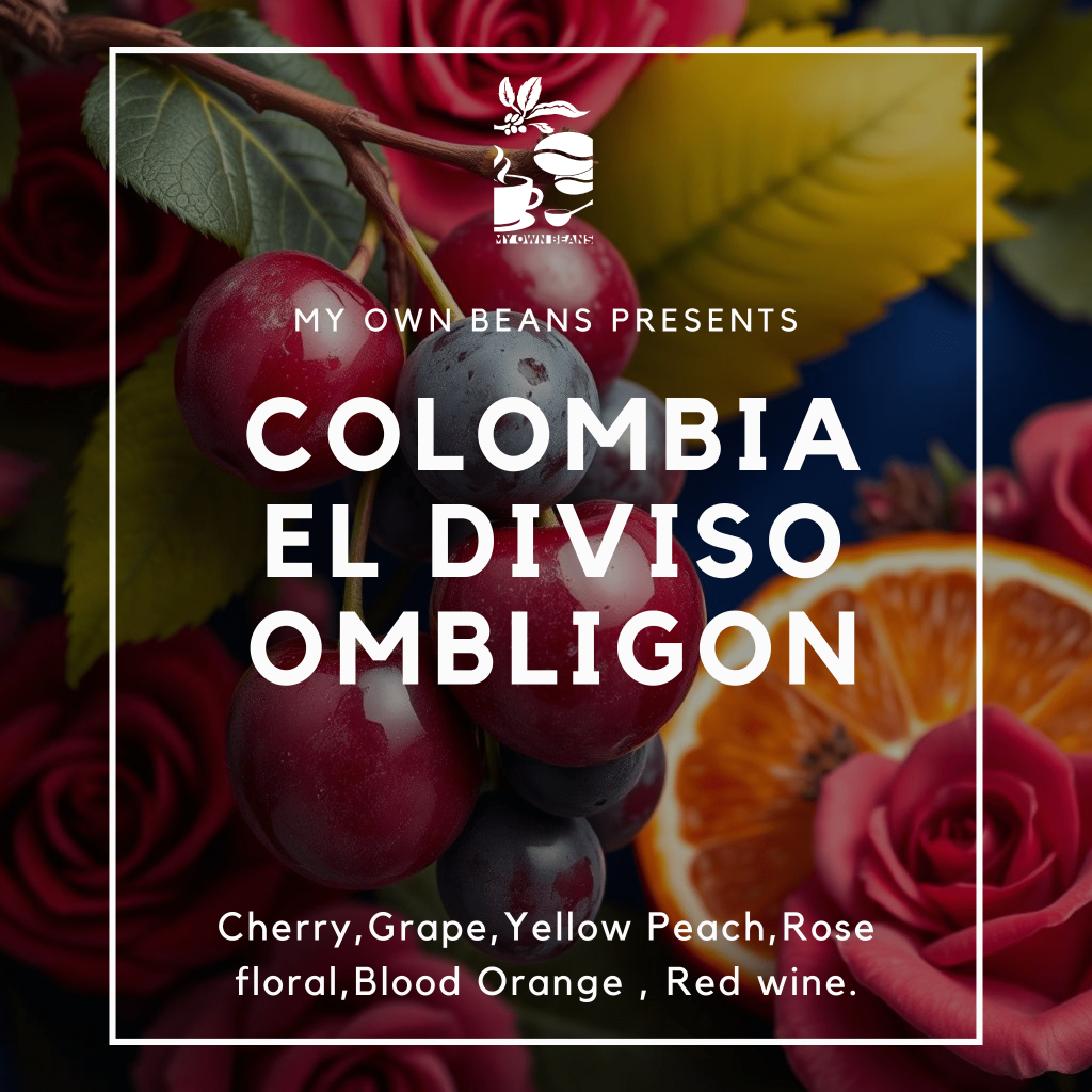 Jual "COLOMBIA EL DIVISO OMBLIGON Speciality Coffee Beans BY MY OWN ...