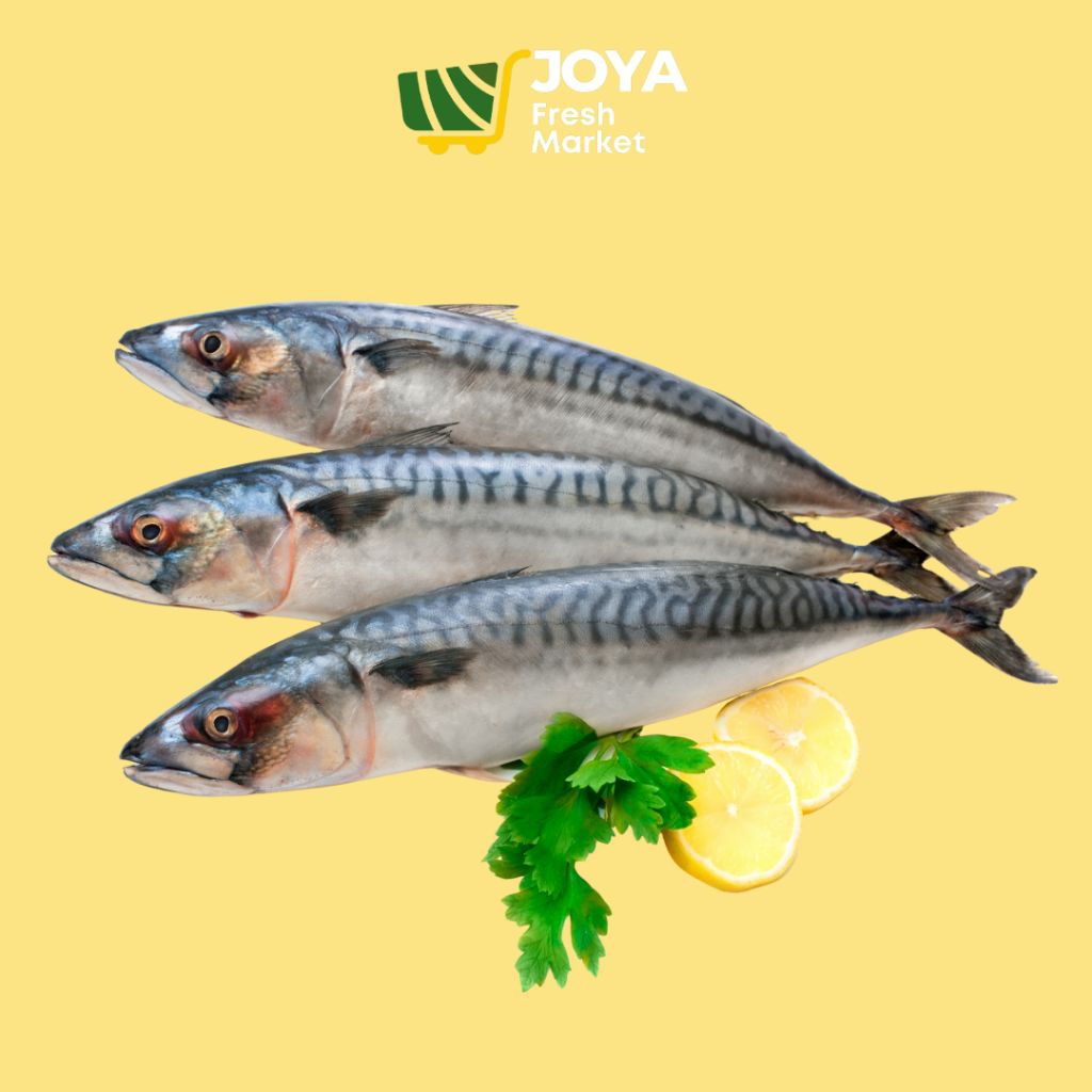 Jual Joya Fresh - Ikan Sarden Segar/Seafood Segar/Ikan Makarel Segar ...