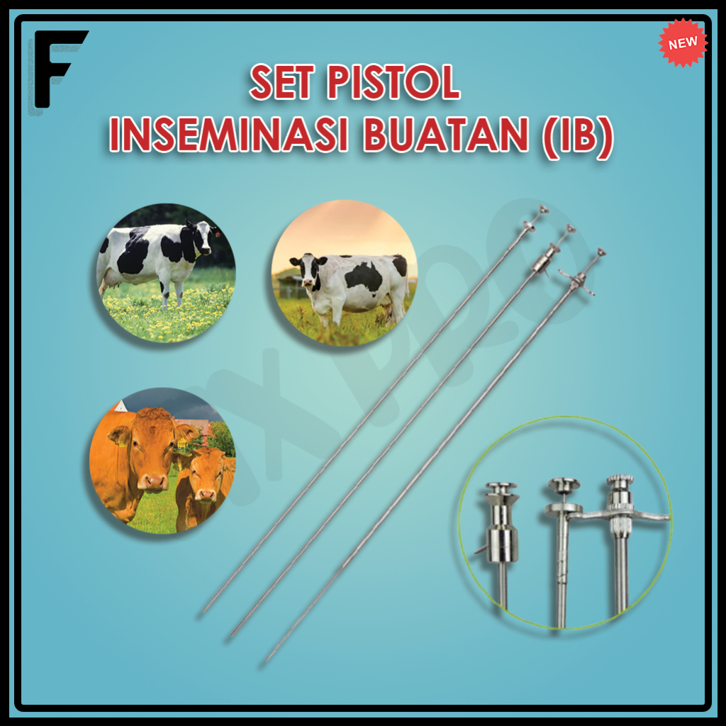 Jual Alat Inseminasi Sapi Ternak – Insemination Gun untuk IB Sapi ...