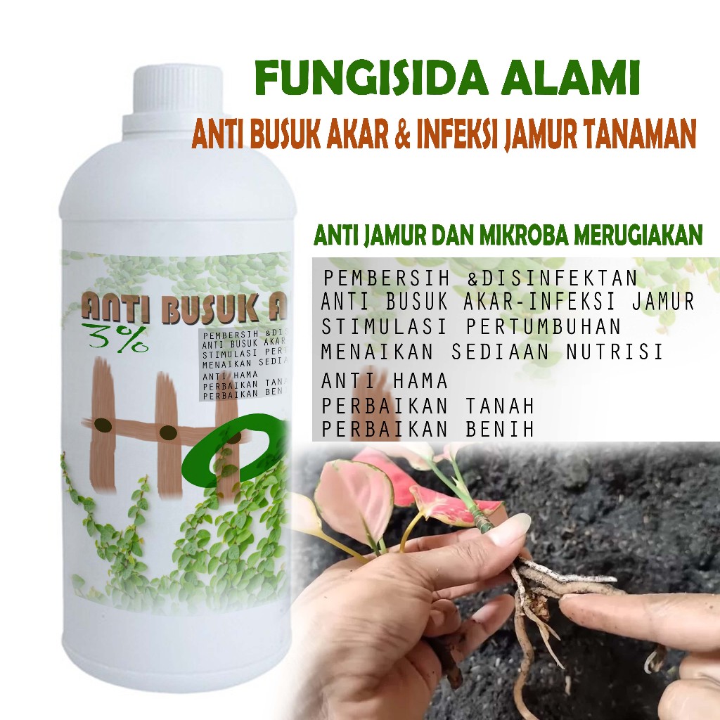 Jual Fungisida alami anti busuk akar 1 liter pengendali hama penyakit ...