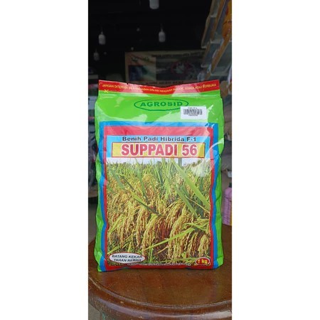 Jual benih padi supadi 56 1Kg / hibrida benih padi / supadi | Shopee ...