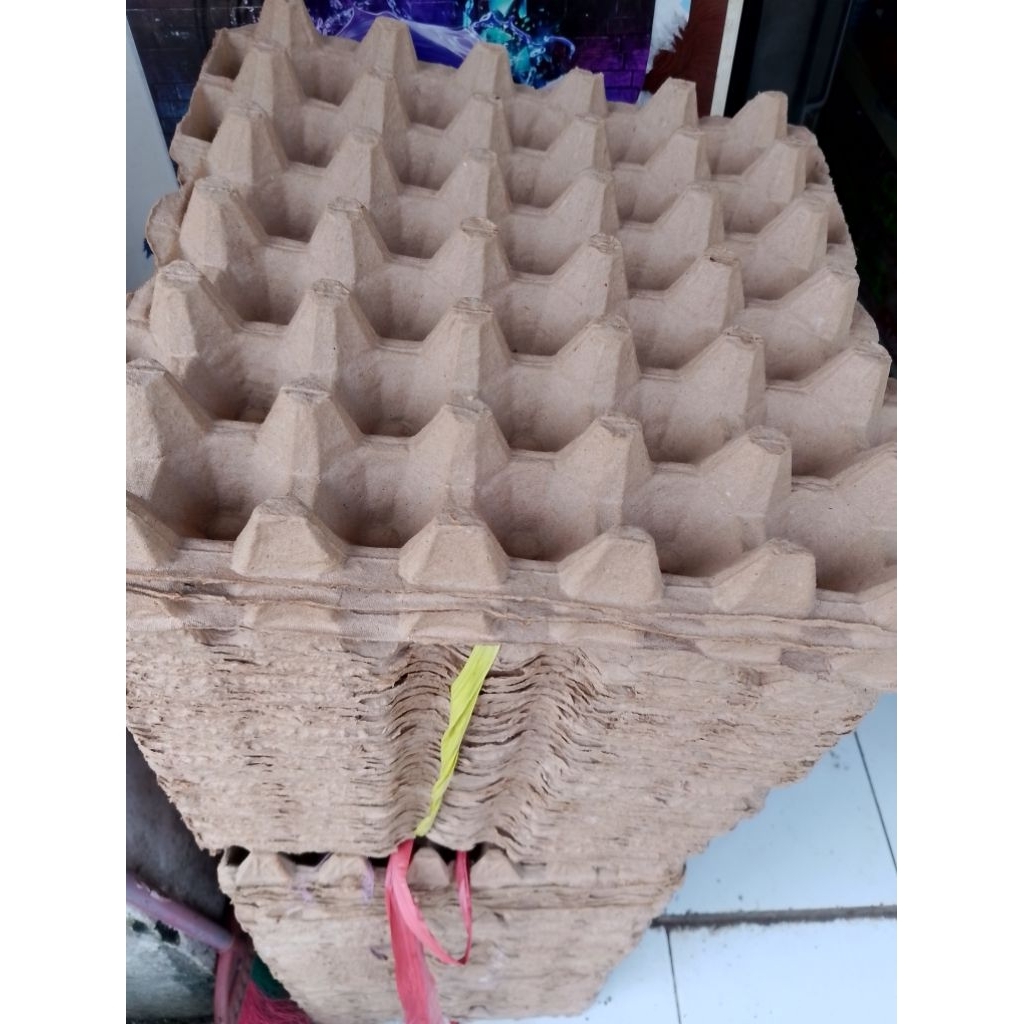 Jual egg tray//wadah telor//karton bekas telor 30 butir//telor ayam ...