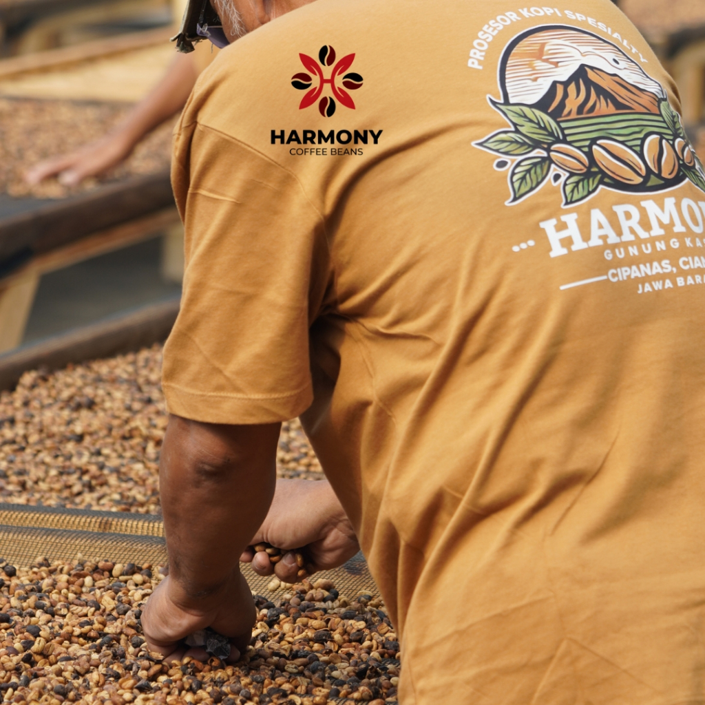 Jual Espresso Blend Robusta 70% Arabika 30% Kopi Espresso Base Tubruk ...