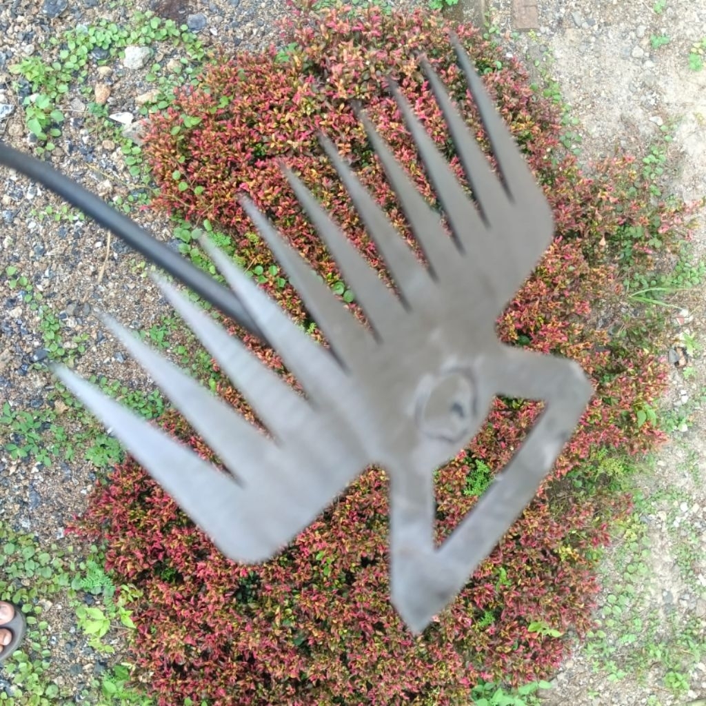 Jual Alat Cabut Rumput Liar / Gerigi 11 Cocok Untuk Mencabut Rumput ...