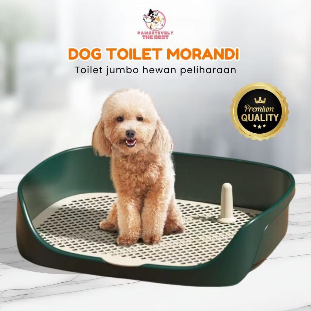 Jual Pet Toilet Training Pee Poop - Tempat Pipis Tipe Datar Untuk ...