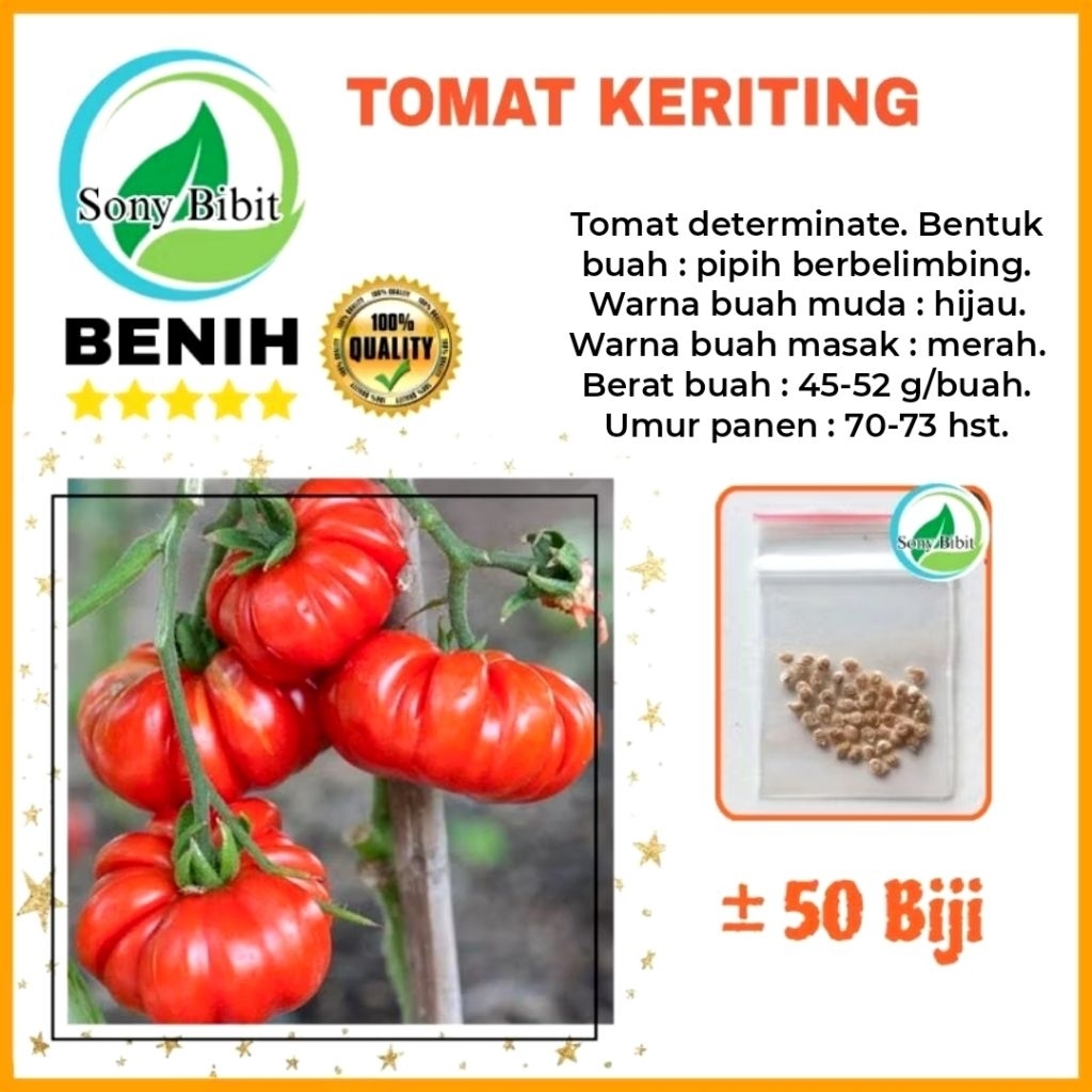 Jual 50 Biji Benih Tomat Mawar / Tomat Keriting Benih Ekonomis | Shopee ...