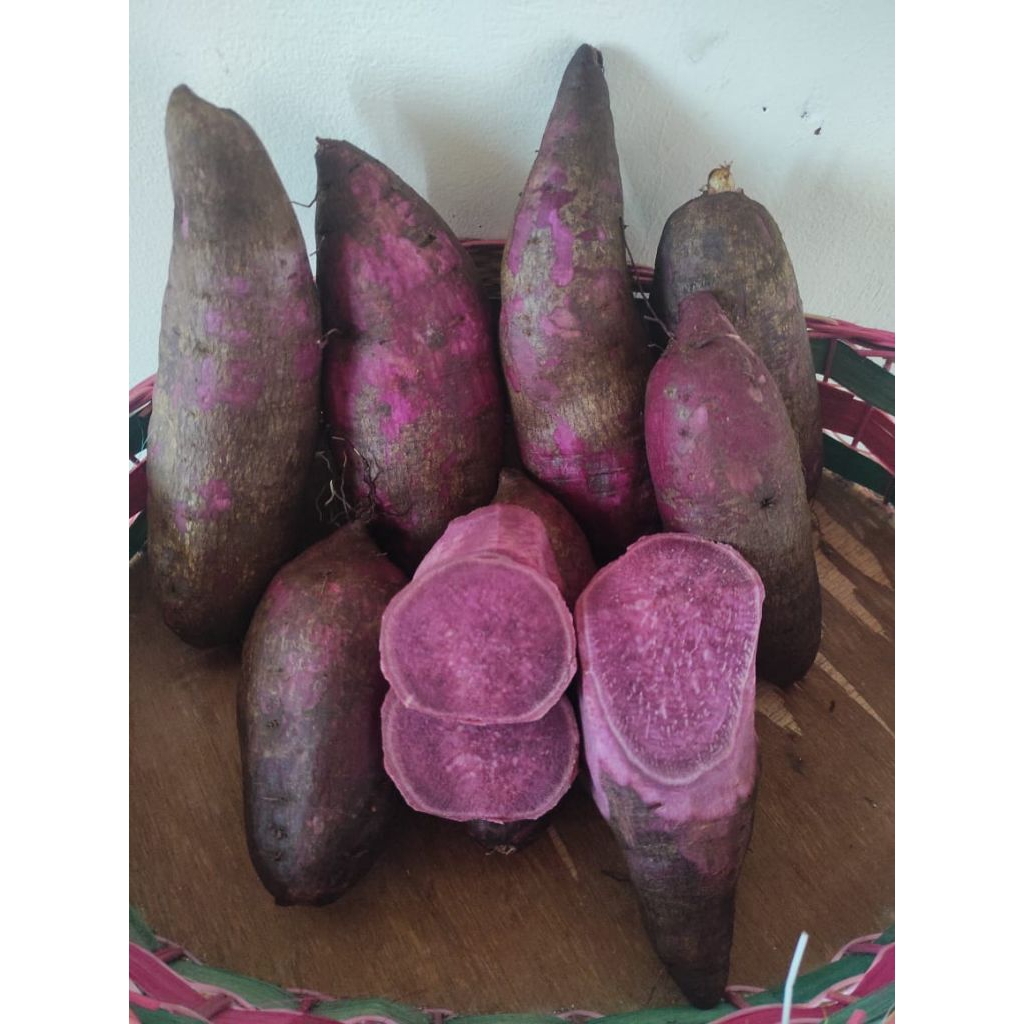 Jual ubi ungu murasaki berkualitas per1kg | Shopee Indonesia