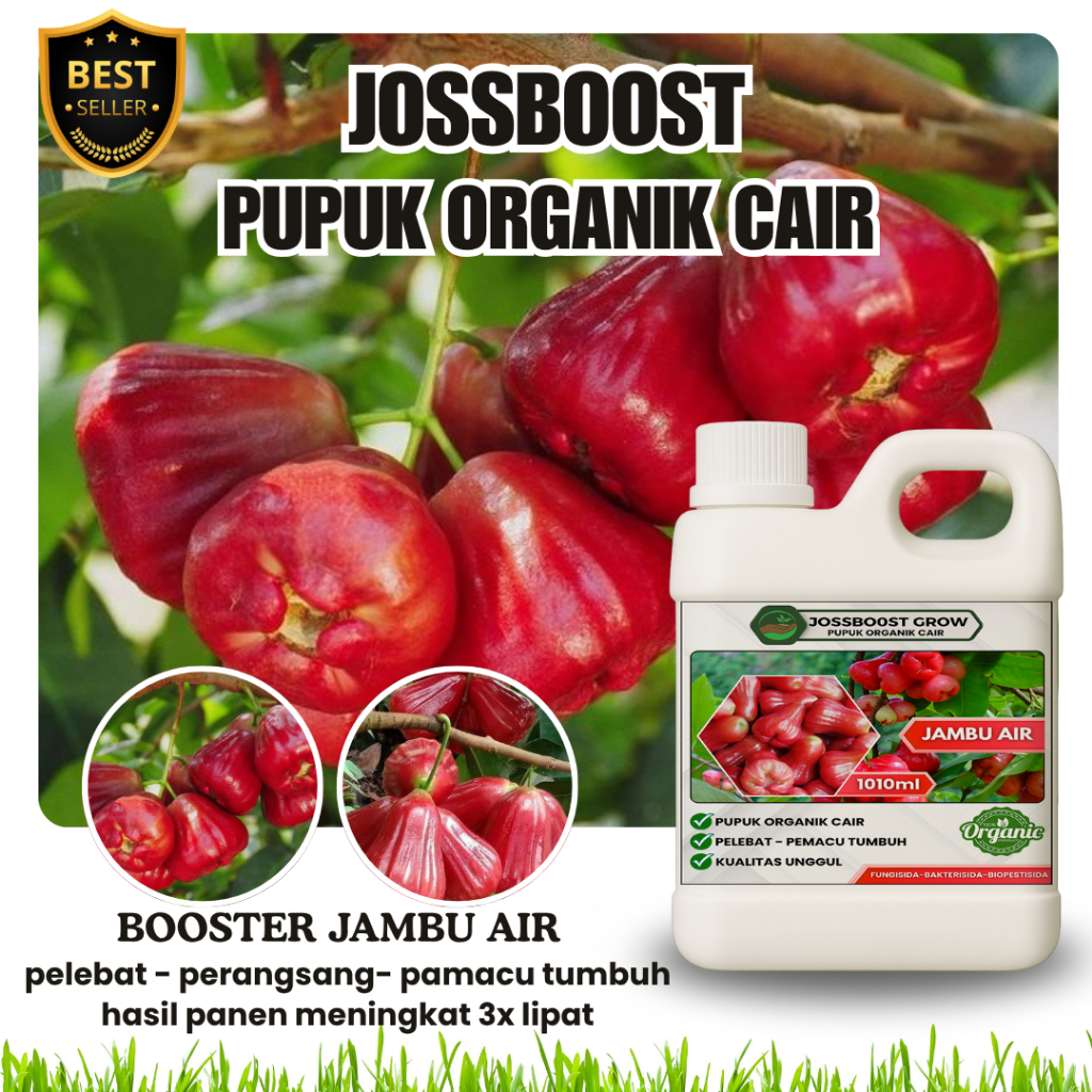Jual Pupuk Organik Cair JossBoost Grow Khusus Tanaman JAMBU AIR - Nutrisi Lengkap untuk Hasil ...
