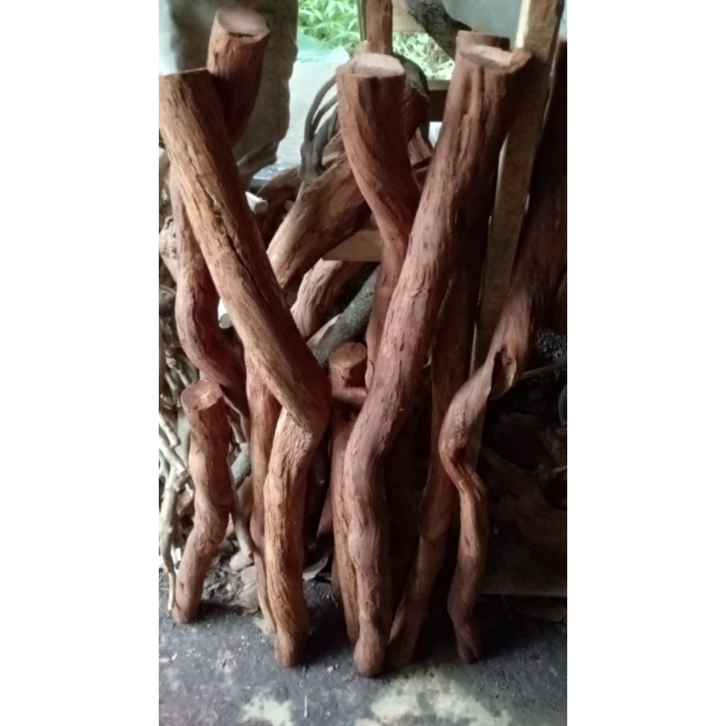 Jual akar santigi gunung dekorasi akuarium size P 100 Cm diameter 4-6 ...