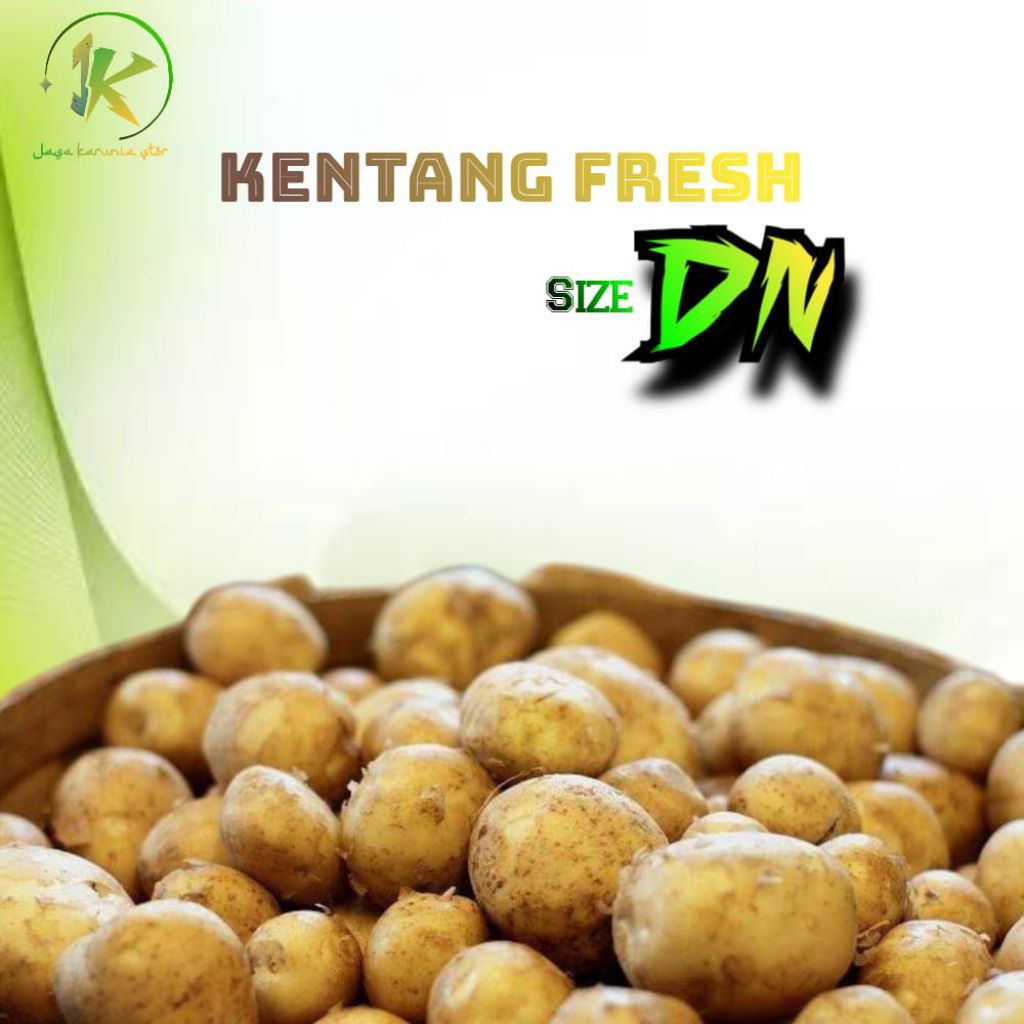 Jual kentang ukuran DN 1kg/ kentang sedang | Shopee Indonesia