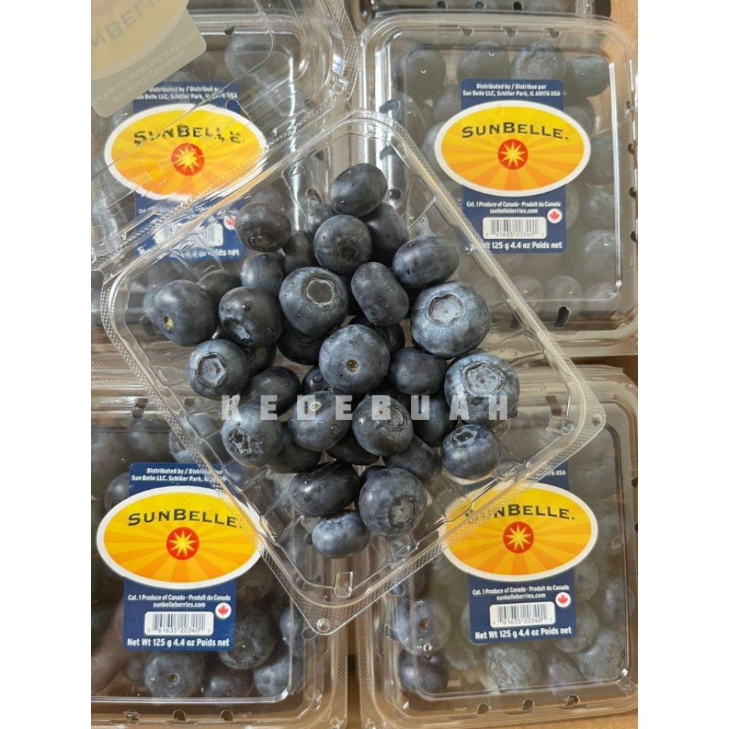 Jual Blueberry Jumbo Canada 125 gr | Shopee Indonesia
