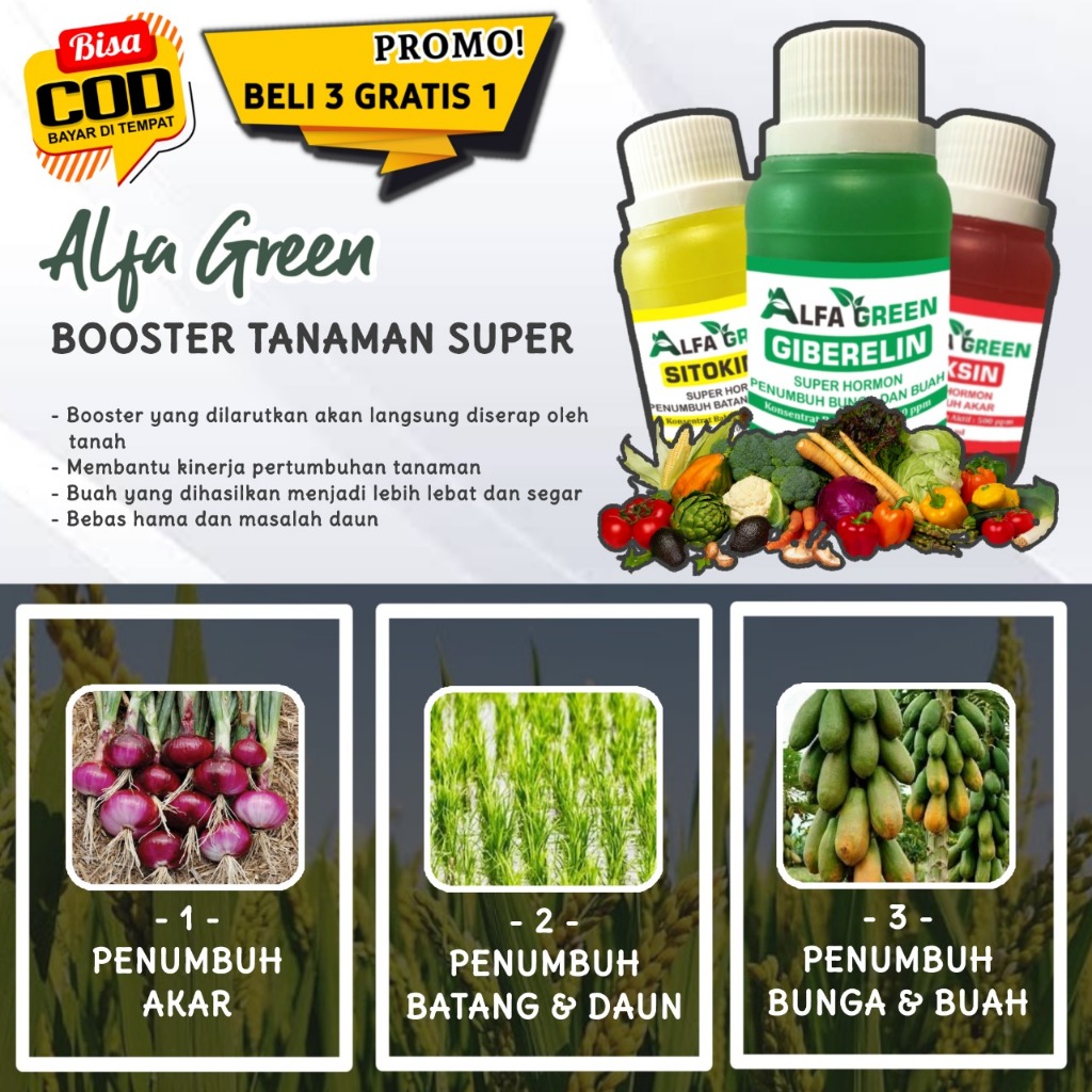 Jual Pupuk Hormon Tanaman zat pembesar dan Pelebat buah Untuk Masa ...