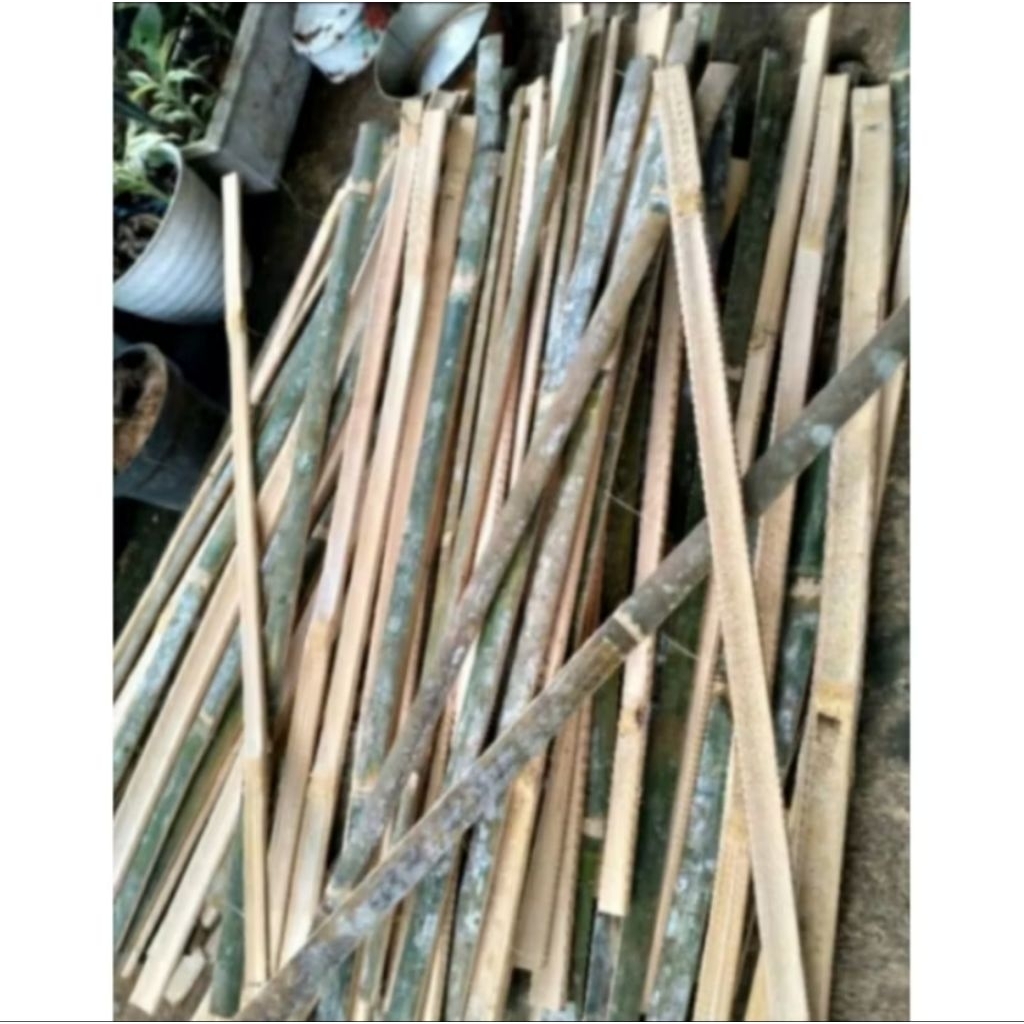 Jual Bambu arku layangan/bambu penyangga tanaman/ Batang bambu bilah ...