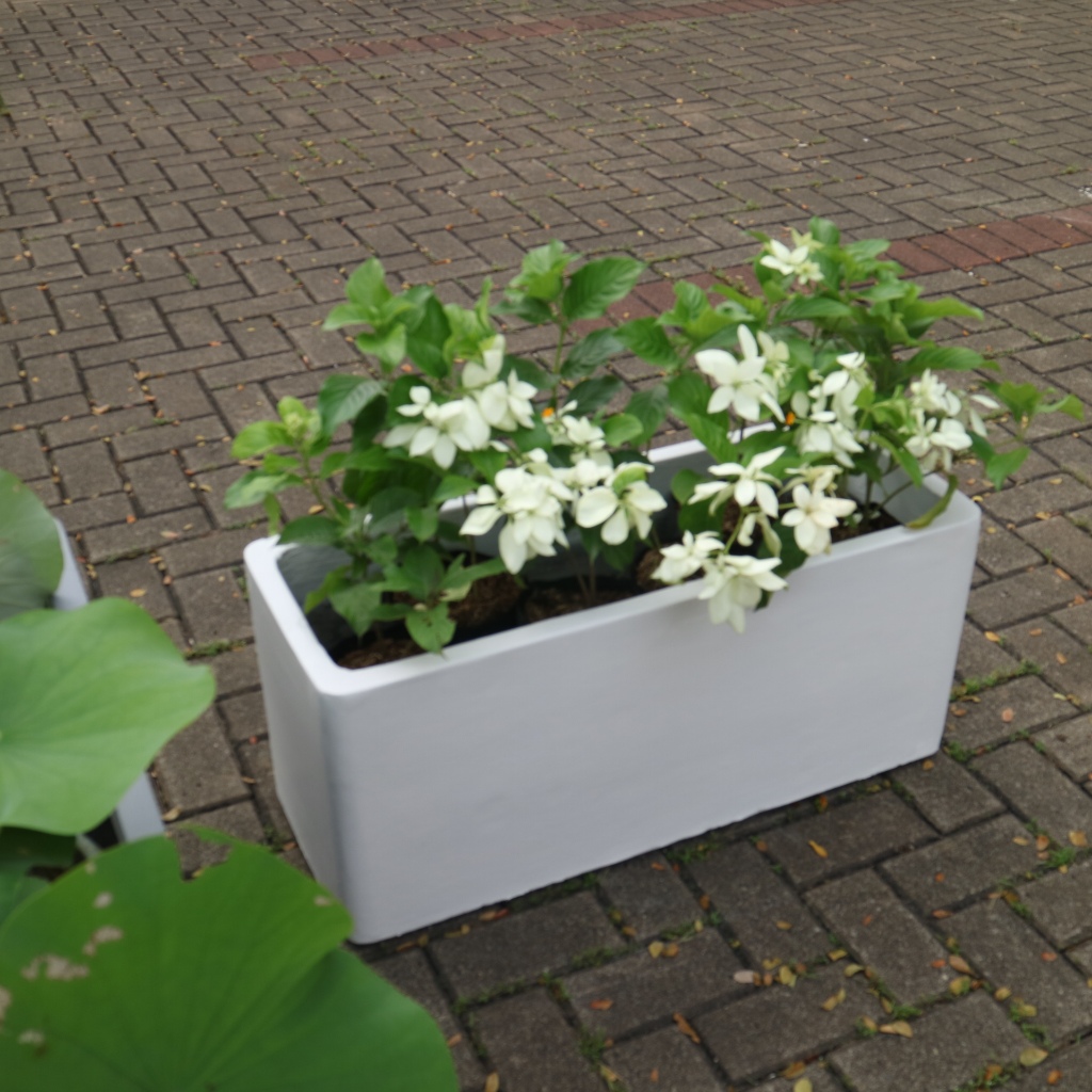 Jual Pot Tanaman Bahan Semen Planter Box Small PxLxT. 60x25x30cm ...