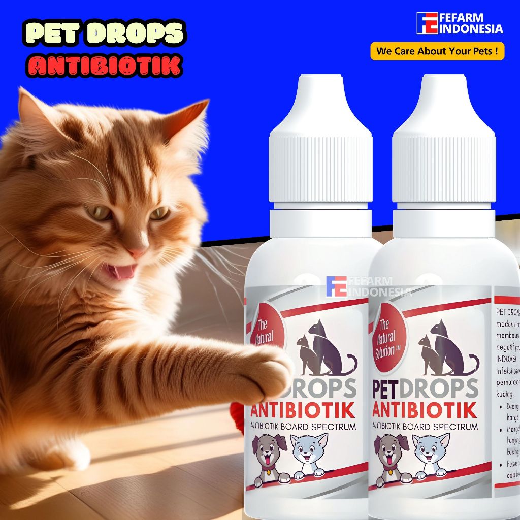 Jual Antibiotik Kucing Cat Kitten Infeksi Antibiotik Pet Drops Kucing ...