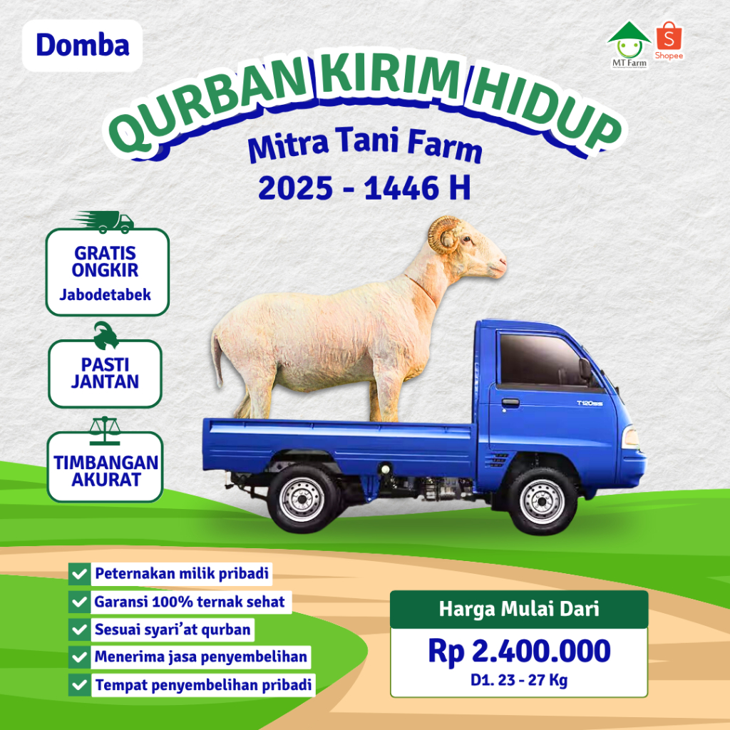 Jual Hewan Qurban Domba Qurban Hidup Free Jabodetabek Mt Farm | Shopee ...