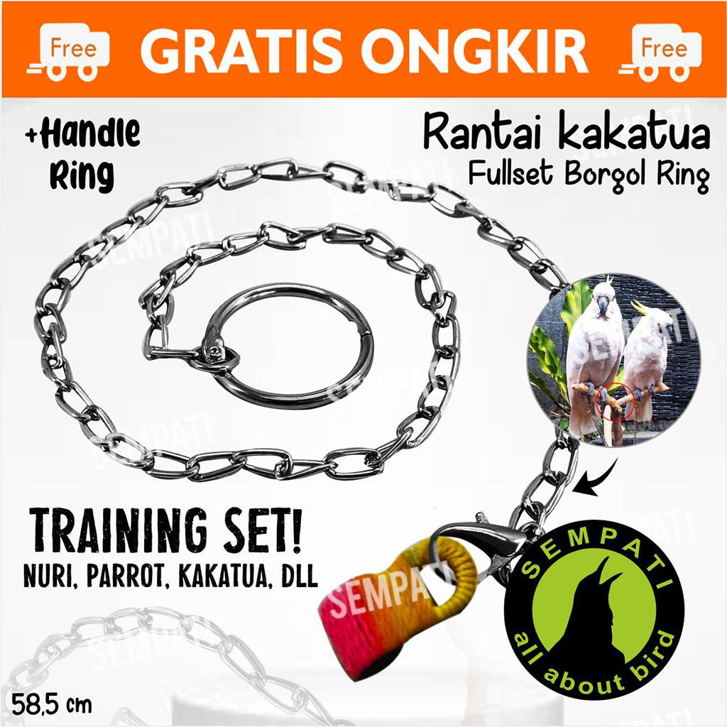 Jual SEMPATI Rantai Borgol Burung Nuri Falk Parkit Parrot Hantu Rantai ...