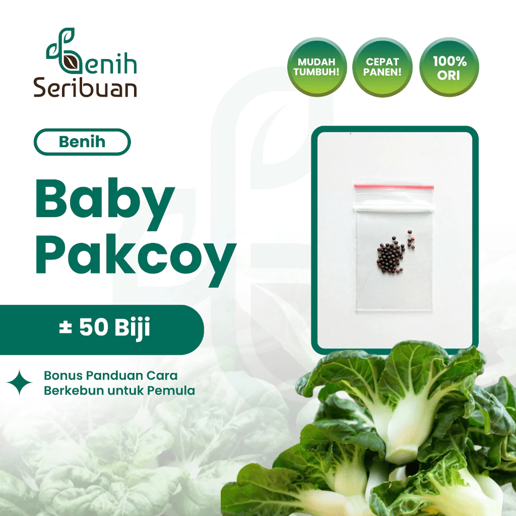 Jual Benih Seribuan - 50 Benih Sayuran Sawi Baby Pakcoy Unggul | Shopee ...