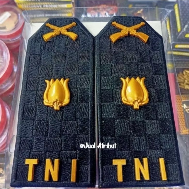 Jual Pangkat PDU Mayor Letkol Kolonel Multi korps bahan LOGAM Exclusive ...