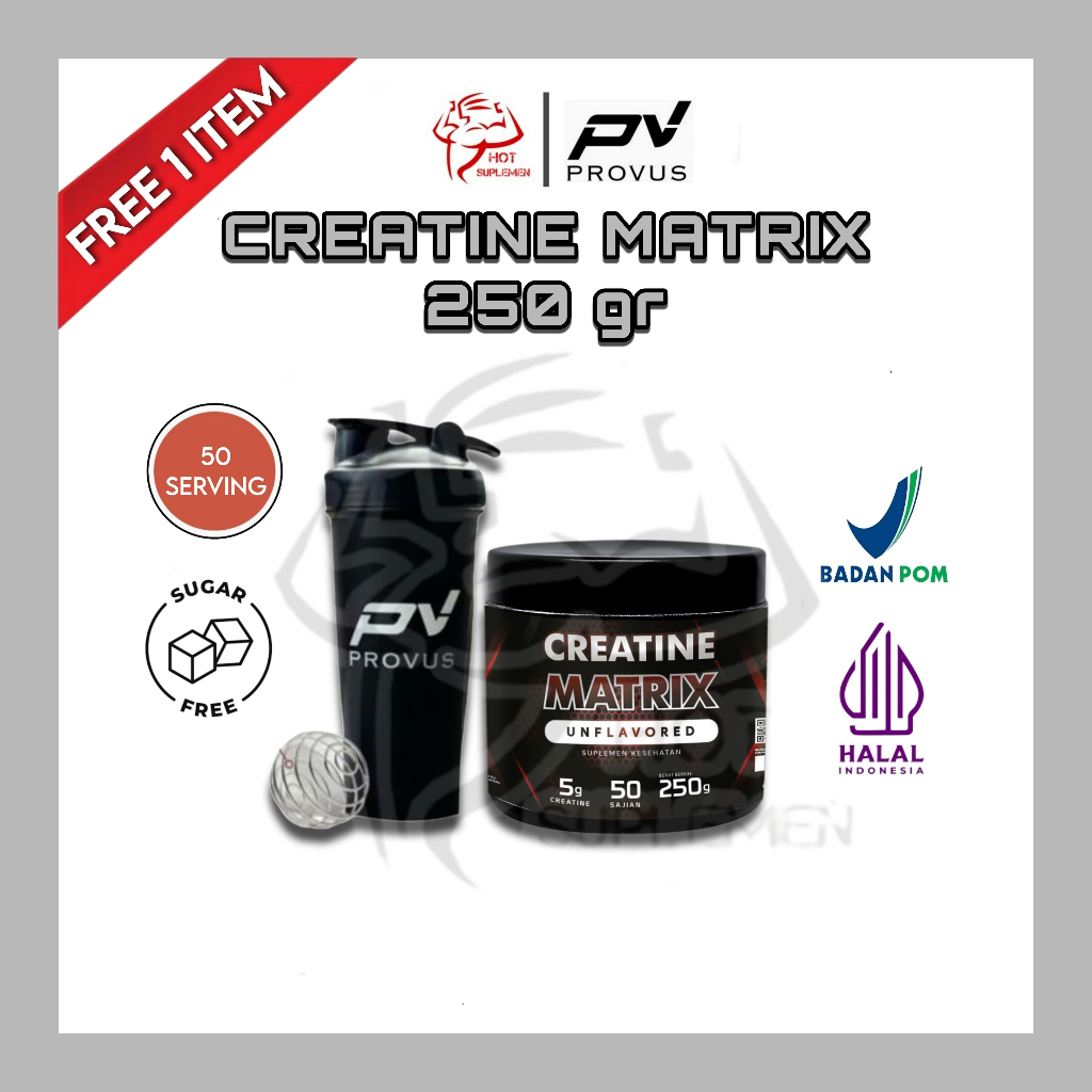 Jual Provus Creatine Matrix 300 gram 60 Serving PV Creatine Monohydrate ...