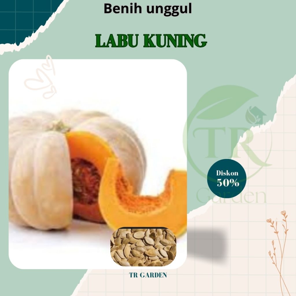 Jual biji benih LABU KUNING BESAR SUPREMA | LABU KOLAK PULEN | MURAH ...