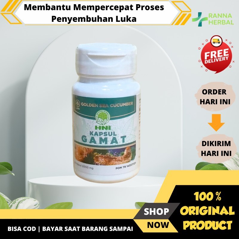 Jual Kapsul Gamat HNI Original Isi 60 Kapsul Ekstrak Teripang Emas ...