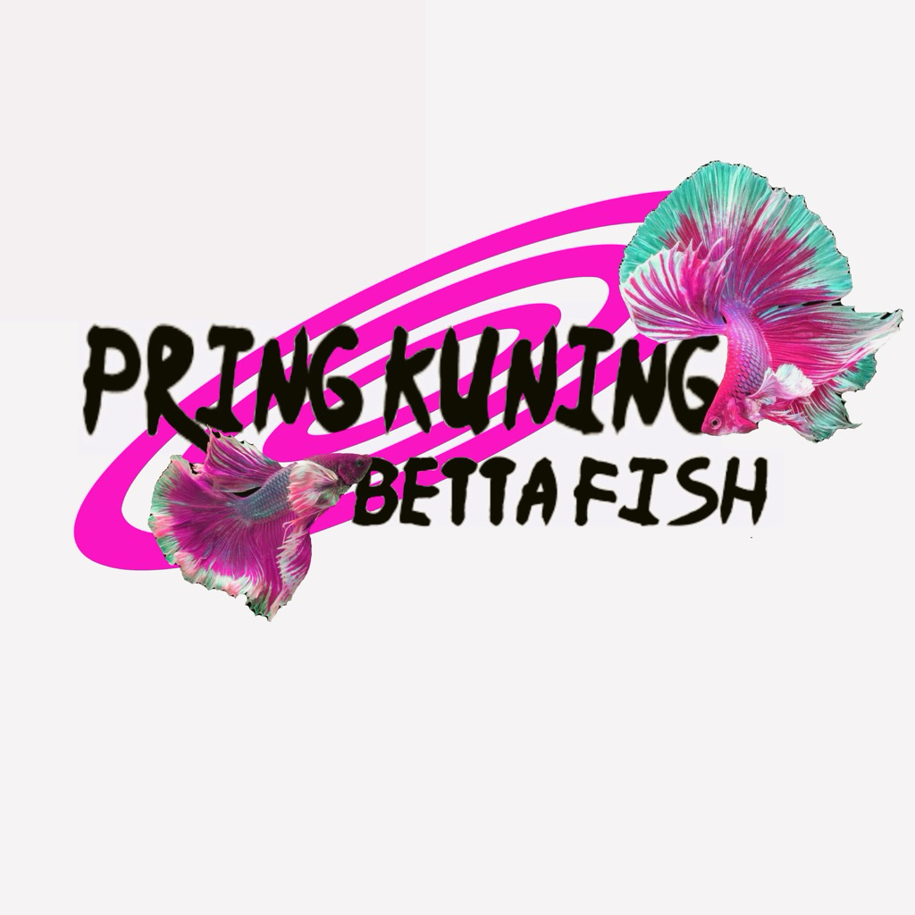 Jual IKAN CUPANG JANTAN MURAH PKBF BETTA FISH TERMURAH THAILAND HALFMON ...
